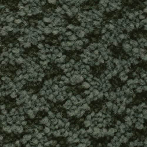 Seurat Prussian Green by Masland in St. Paul, MN - Abbott Paint & Carpet