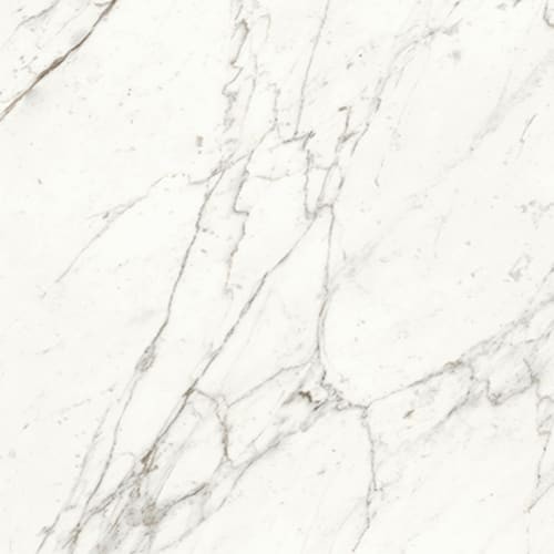 Trilogy Calacatta 24x48 by Atlas Concorde USA - Rochester, NY - Tile ...